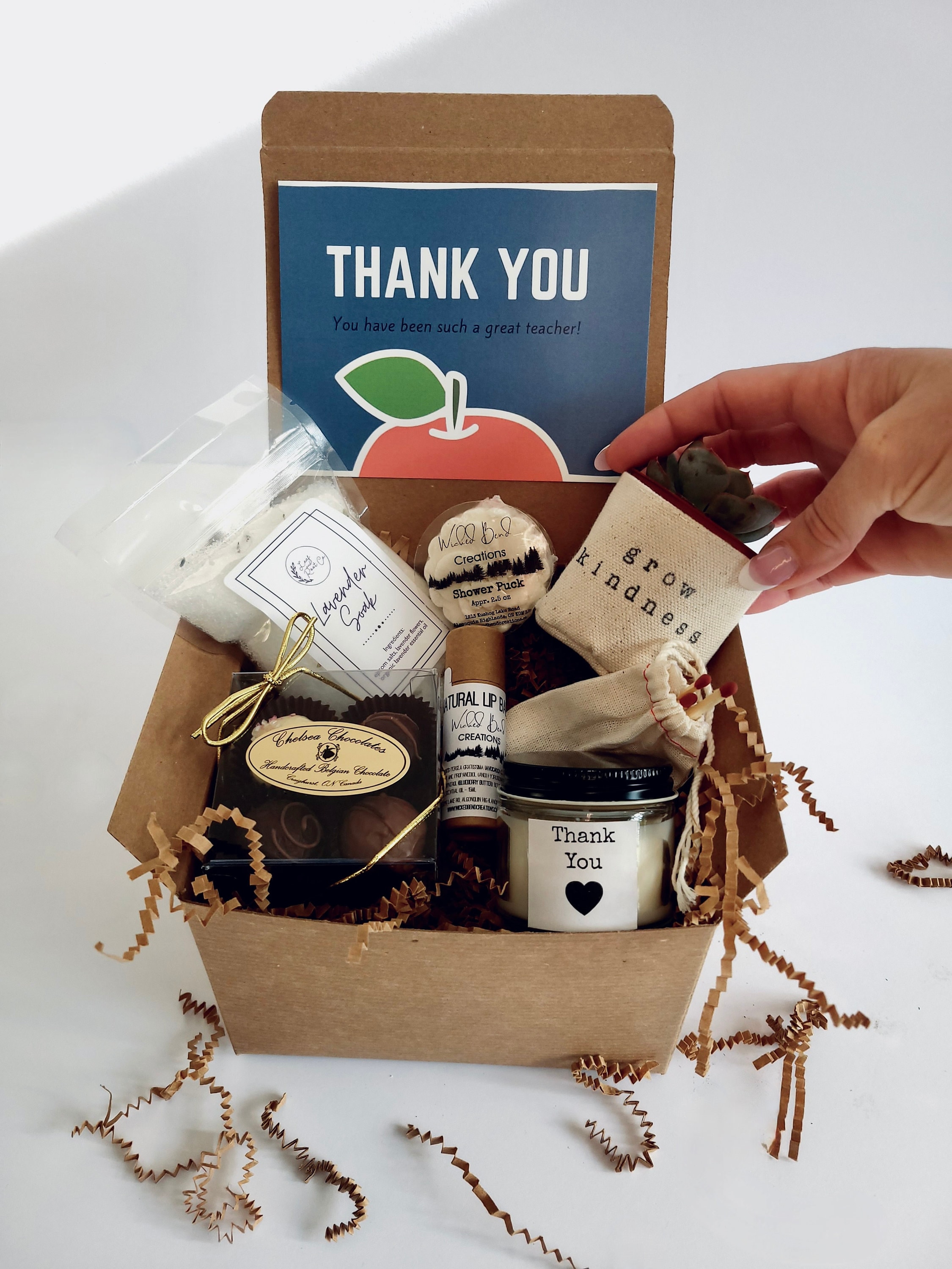 Teacher Care Package PLANT INCLUDED Gift for Teacher - Etsy