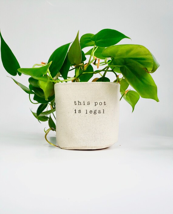 This Pot is Legal Planter Basket Canvas Plant Pot Indoor | Etsy