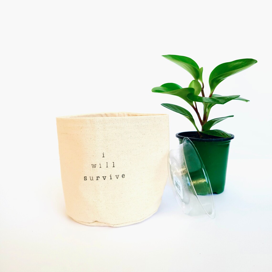 Plant Daddy Planter Basket Canvas Plant Pot Indoor - Etsy