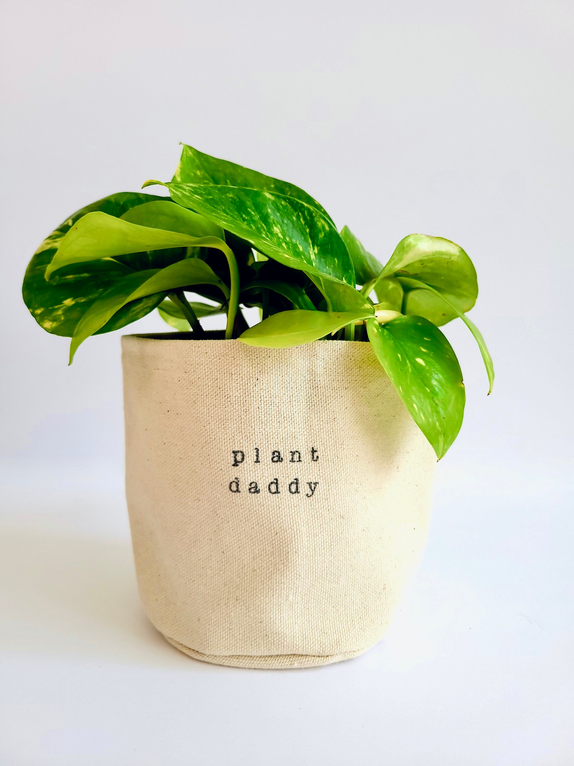 Plant Daddy - Planter Basket, Canvas Plant Pot, Indoor Planter, Cute ...