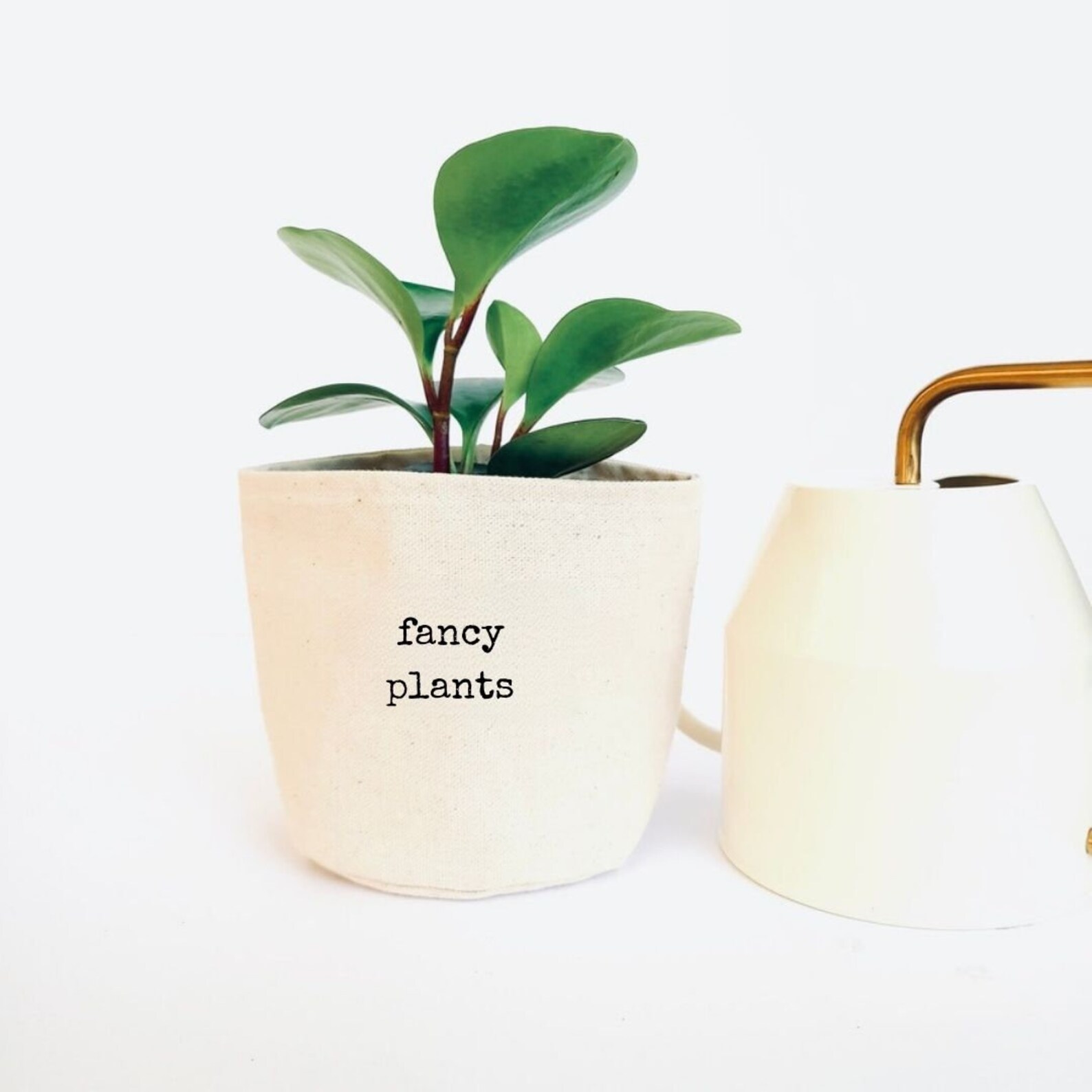 Fancy Plants - Planter Basket, Canvas Plant Pot, Indoor Planter, Cute ...