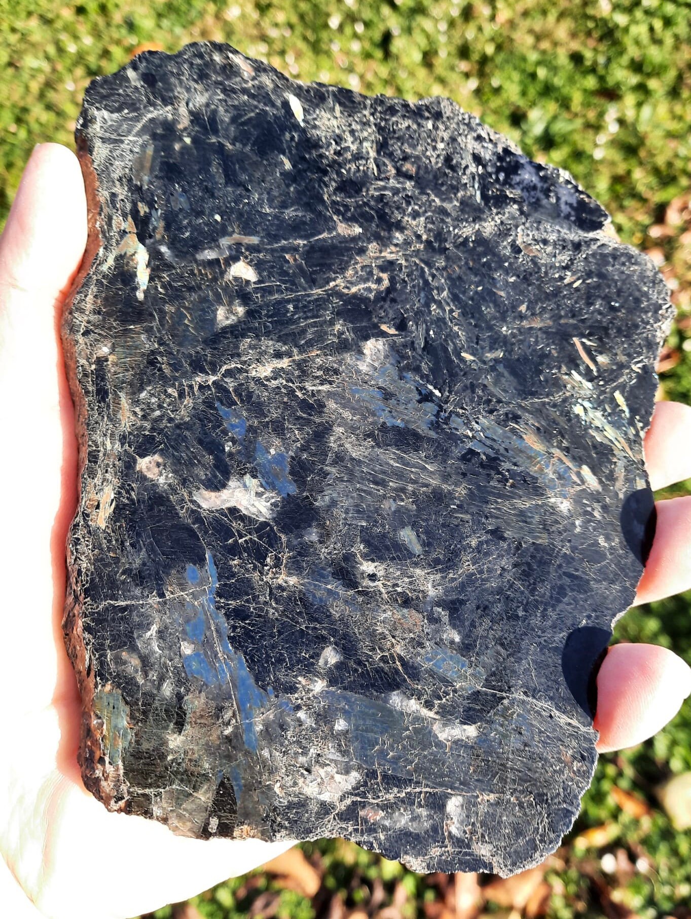 NUUMMITE Double-sided Polished Plate Majestic and Rare, AAA Collector's ...
