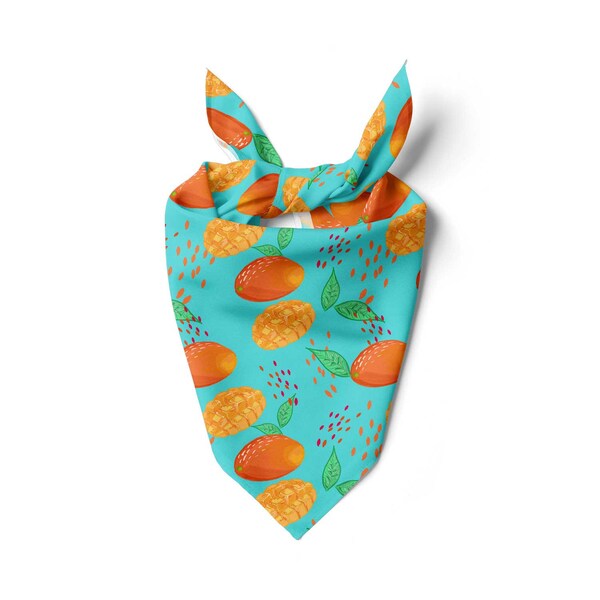 Mango Dog Collar - Etsy