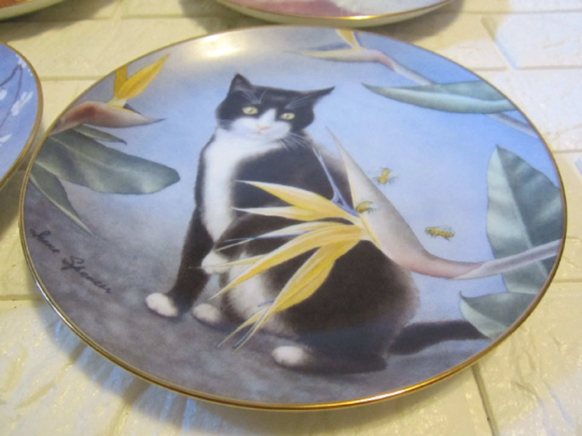 Cat Collector Plates Set of Four - Etsy