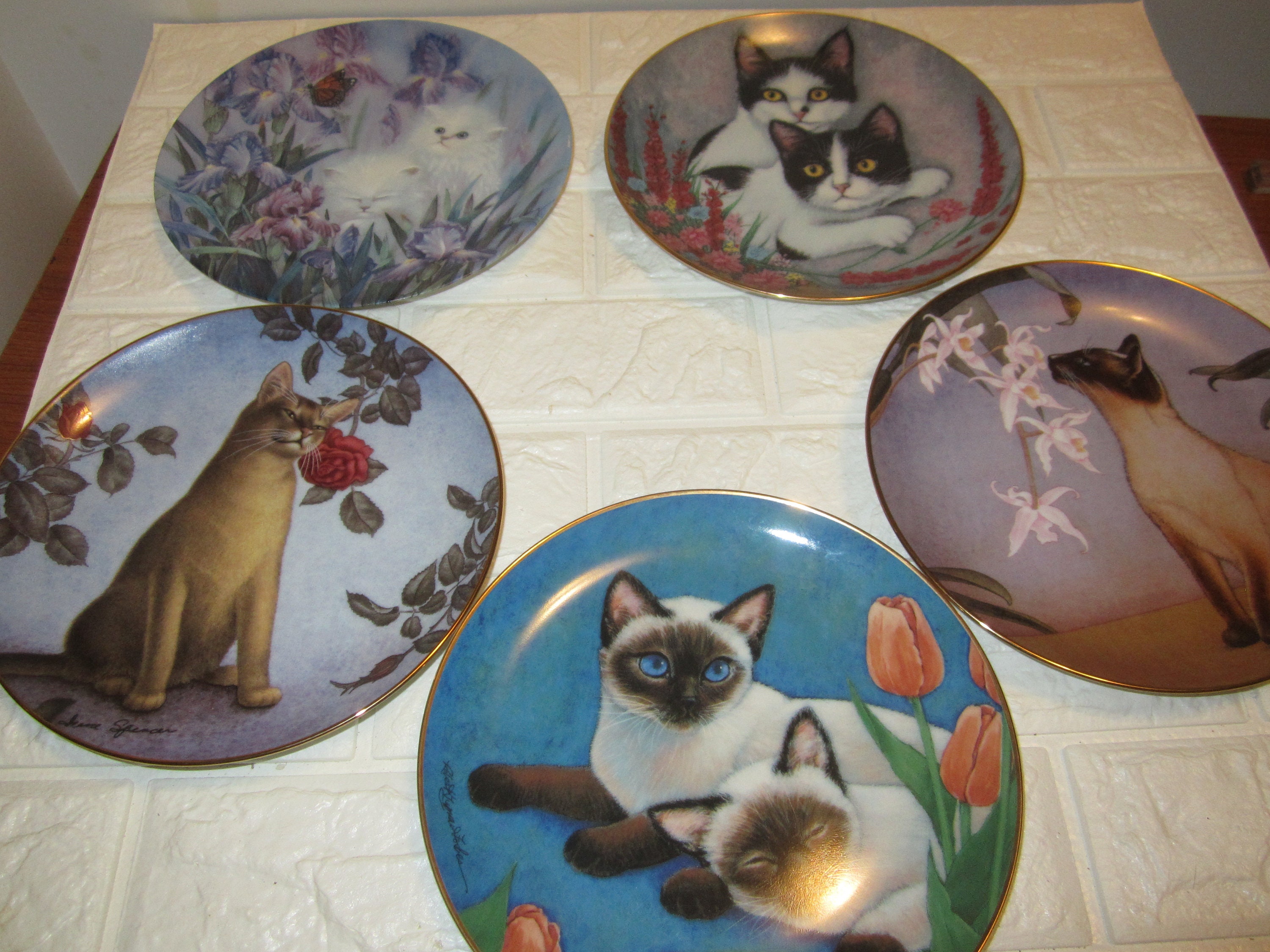 Cat Collector Plates Set of Five - Etsy