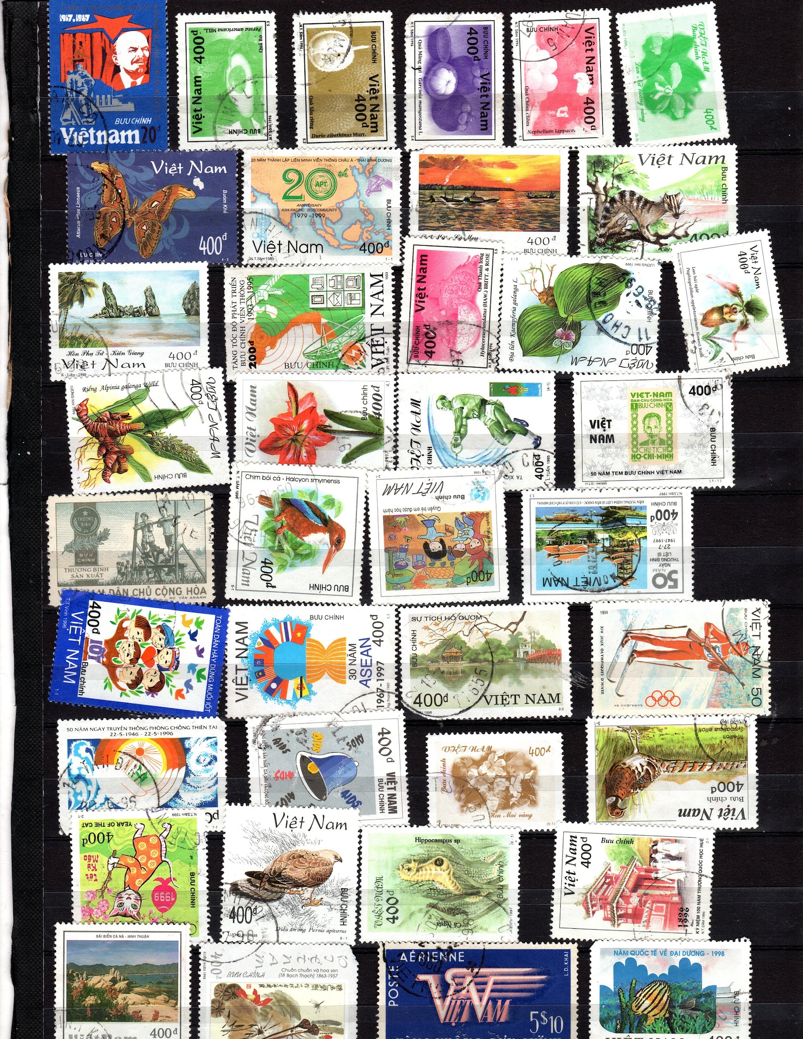 Vietnam Stamp Collection - Etsy