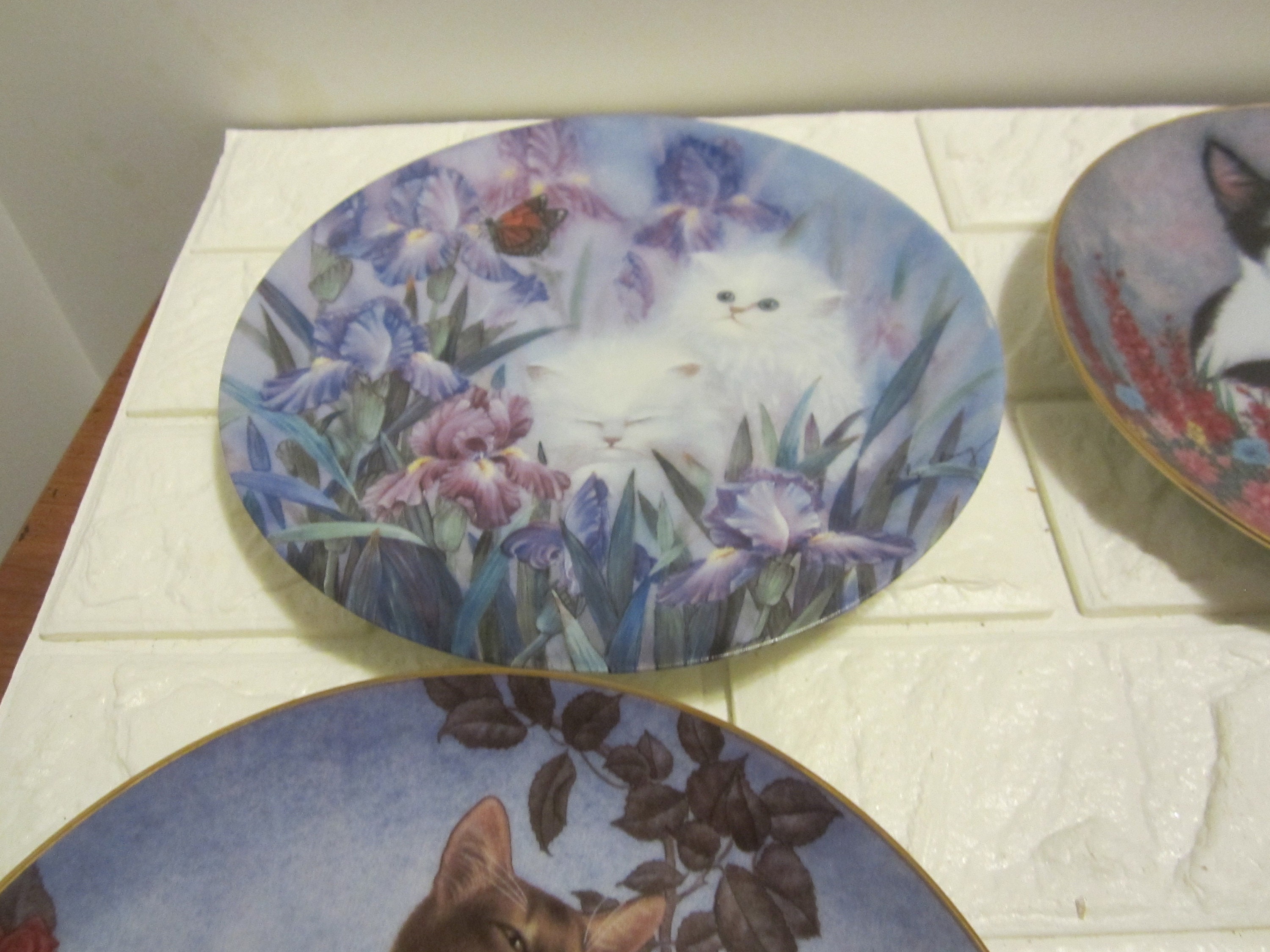 Cat Collector Plates Set of Five - Etsy
