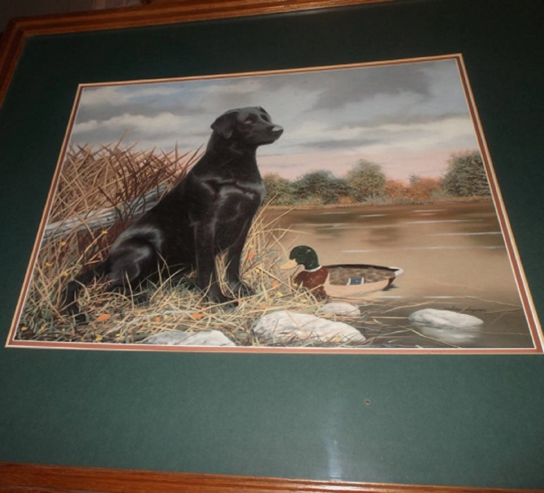 Andrew Chapman Black Lab Art Print - Etsy