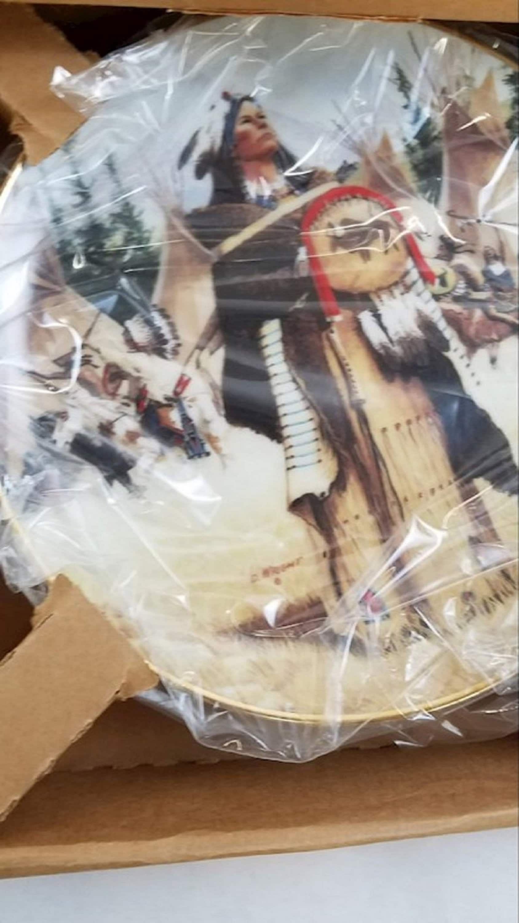 Native Indian Collector Plates Set of Six - Etsy