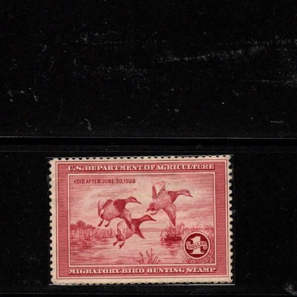 Duck Stamp Frame - Etsy