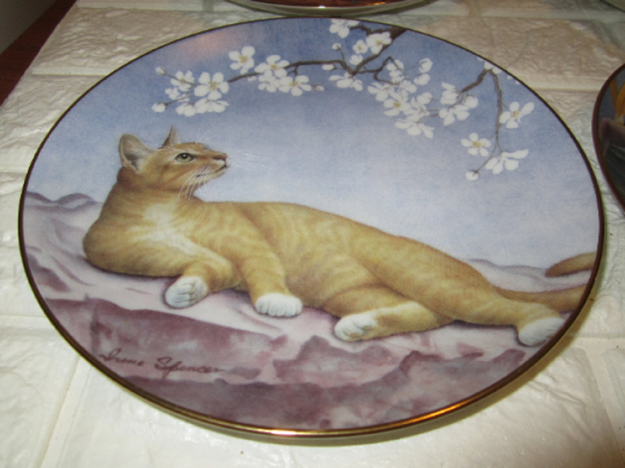 Cat Collector Plates Set of Four - Etsy