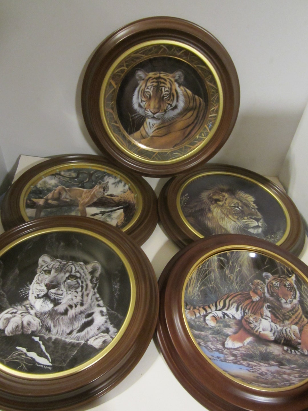 Tiger Collector Plates With Wooden Frames - Etsy