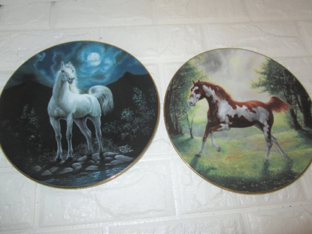 Unbridled Spirit Pair of Horse Collector Plates - Etsy