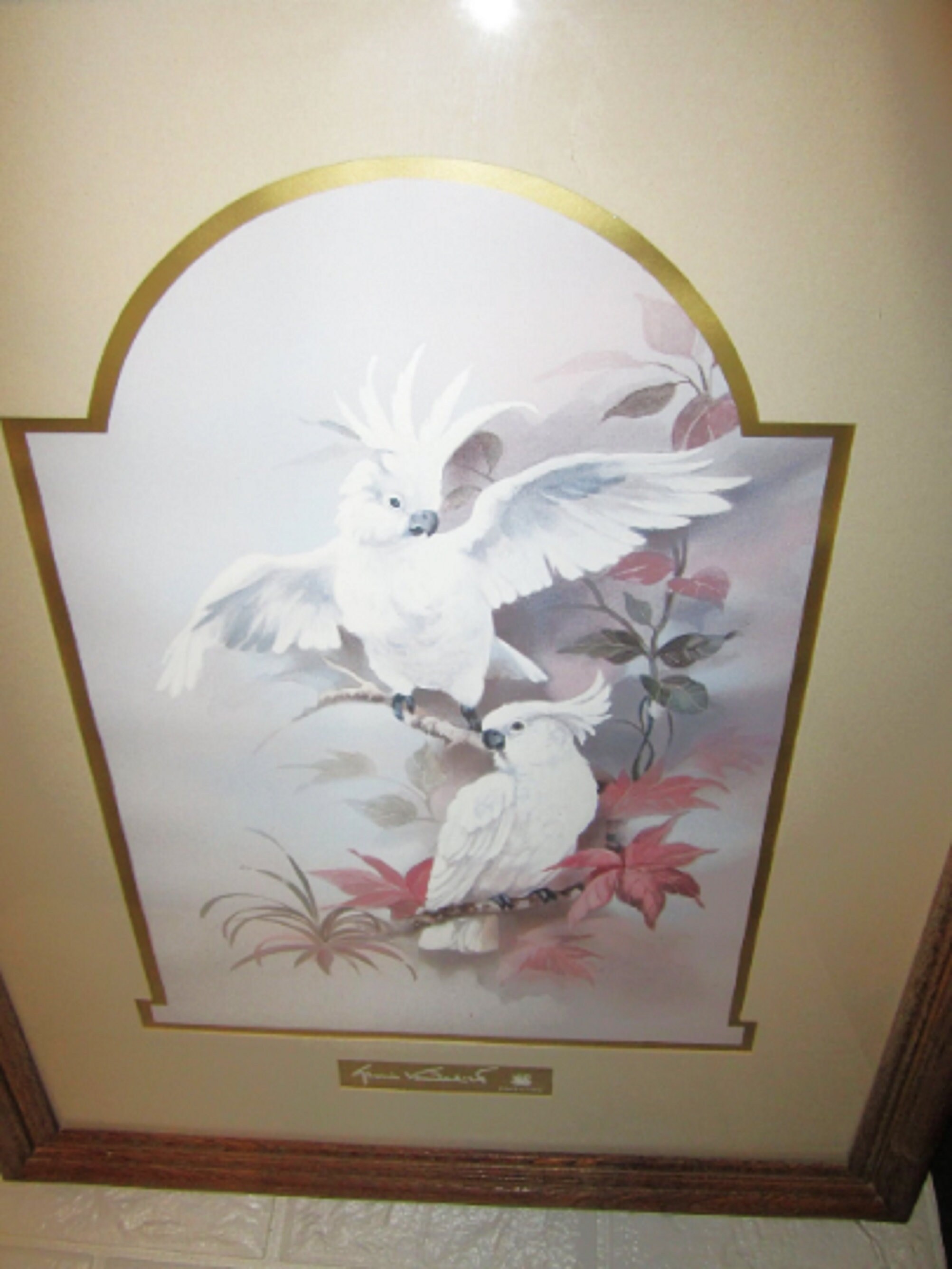 Gloria Vanderbilt Collection Art Print - Etsy