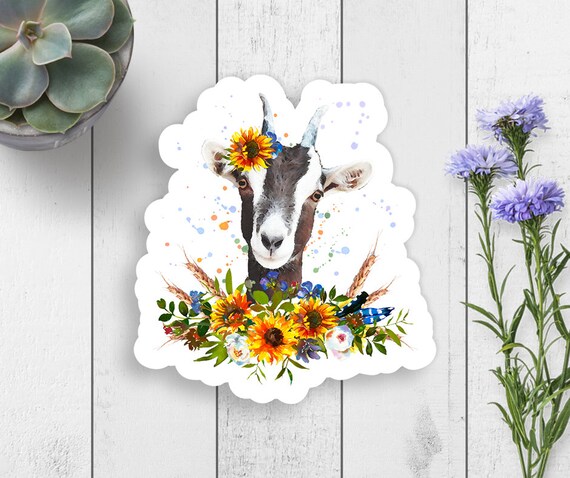 Show Goat Decal
