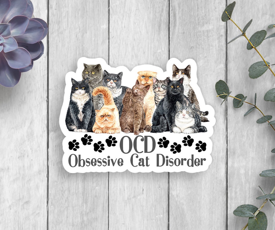 OCD Cats Vinyl Sticker, Cat Sticker, Die Cut Sticker, Water Bottle ...