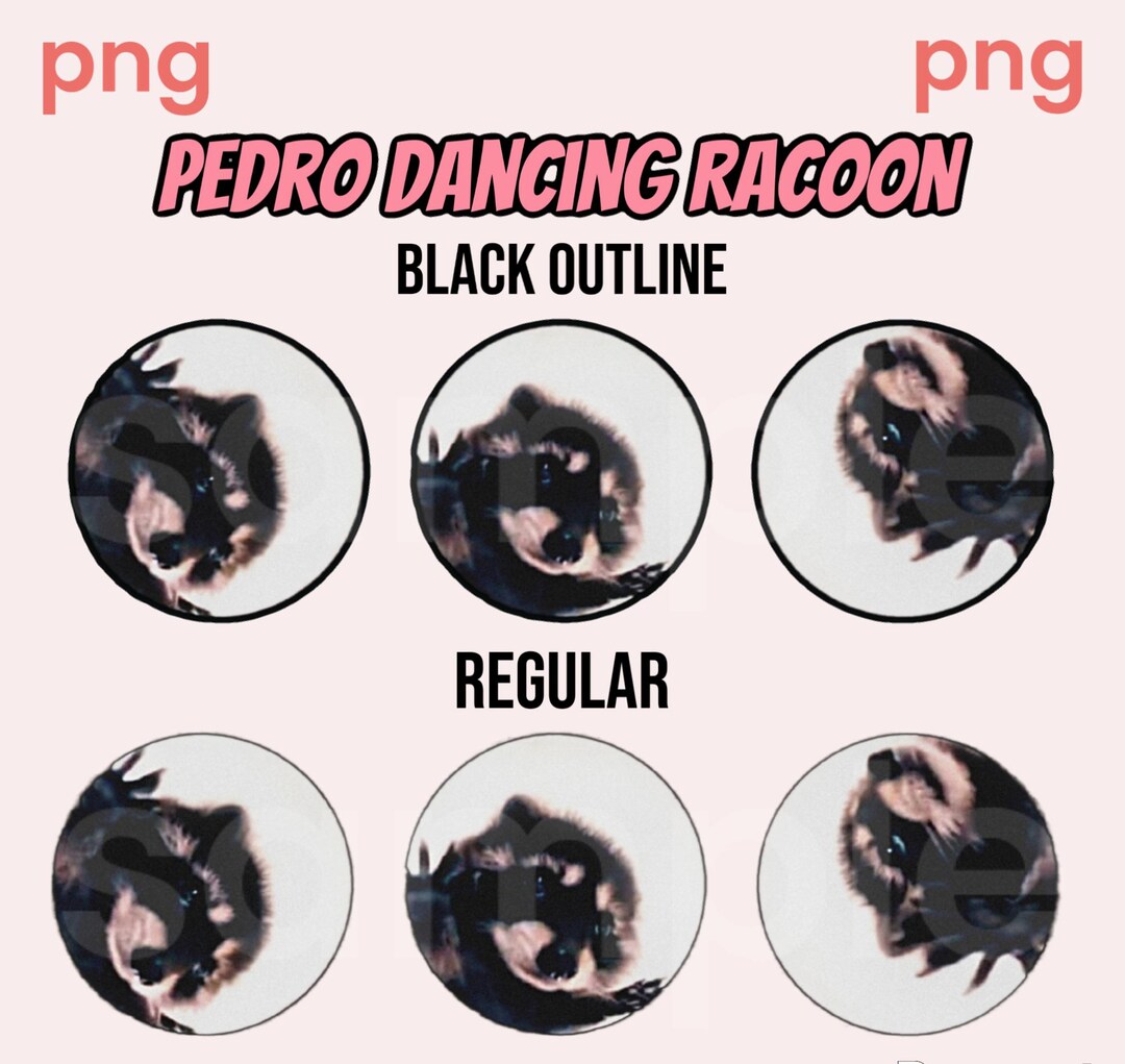 Pedro Pedro Pedro Dancing Racoon PNG, for Stickers, Shirts Etc ...