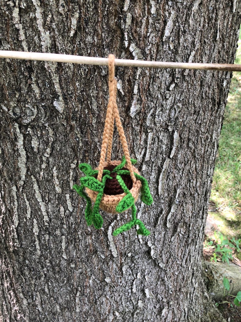 Hanging Pothos Plant Crochet PDF Pattern - Etsy