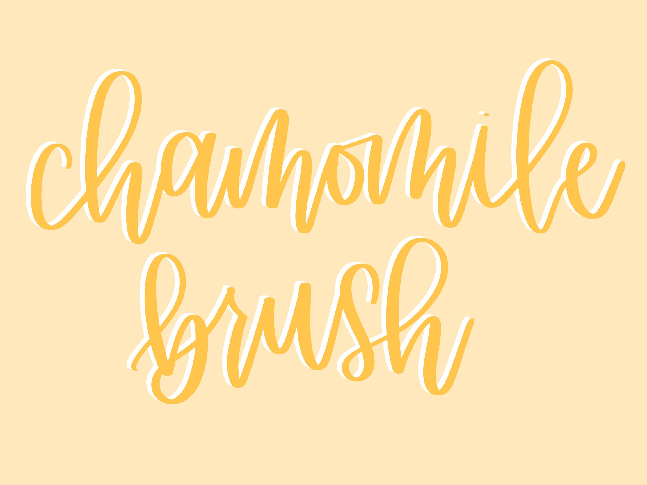 Procreate Lettering Brushes 6 Brushes Included Free | Etsy