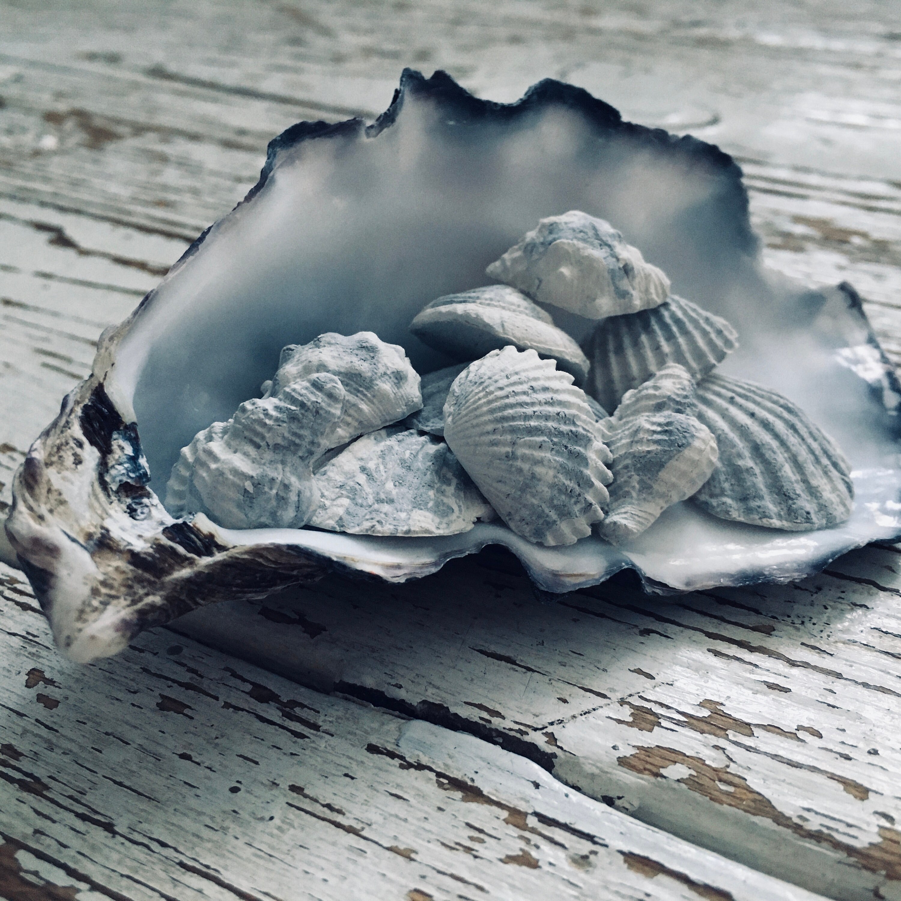 Grey & White Seashell Desk Diffuser, Earthenware Ceramic Aromatherapy ...