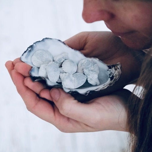 Grey & White Seashell Desk Diffuser, Earthenware Ceramic Aromatherapy ...