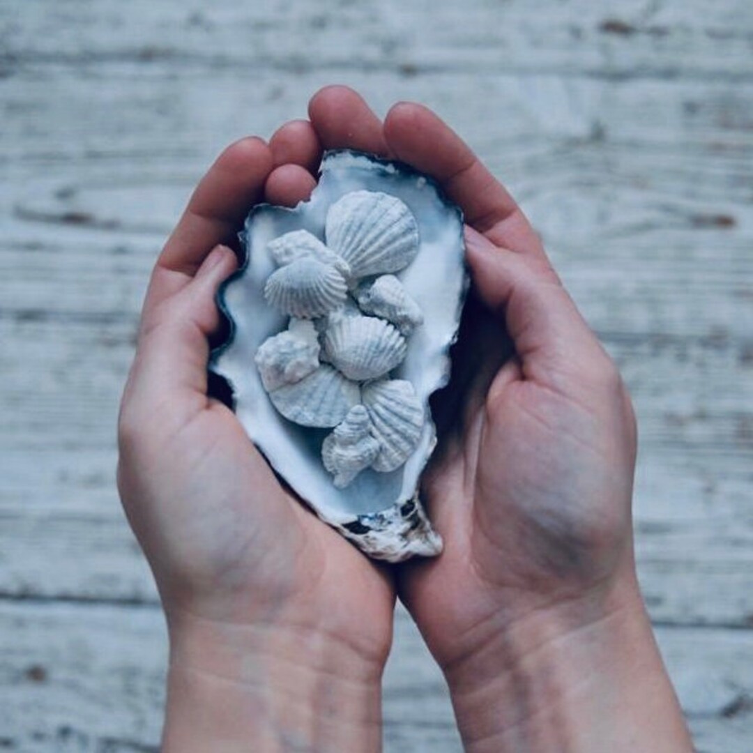 Grey & White Seashell Desk Diffuser, Earthenware Ceramic Aromatherapy ...