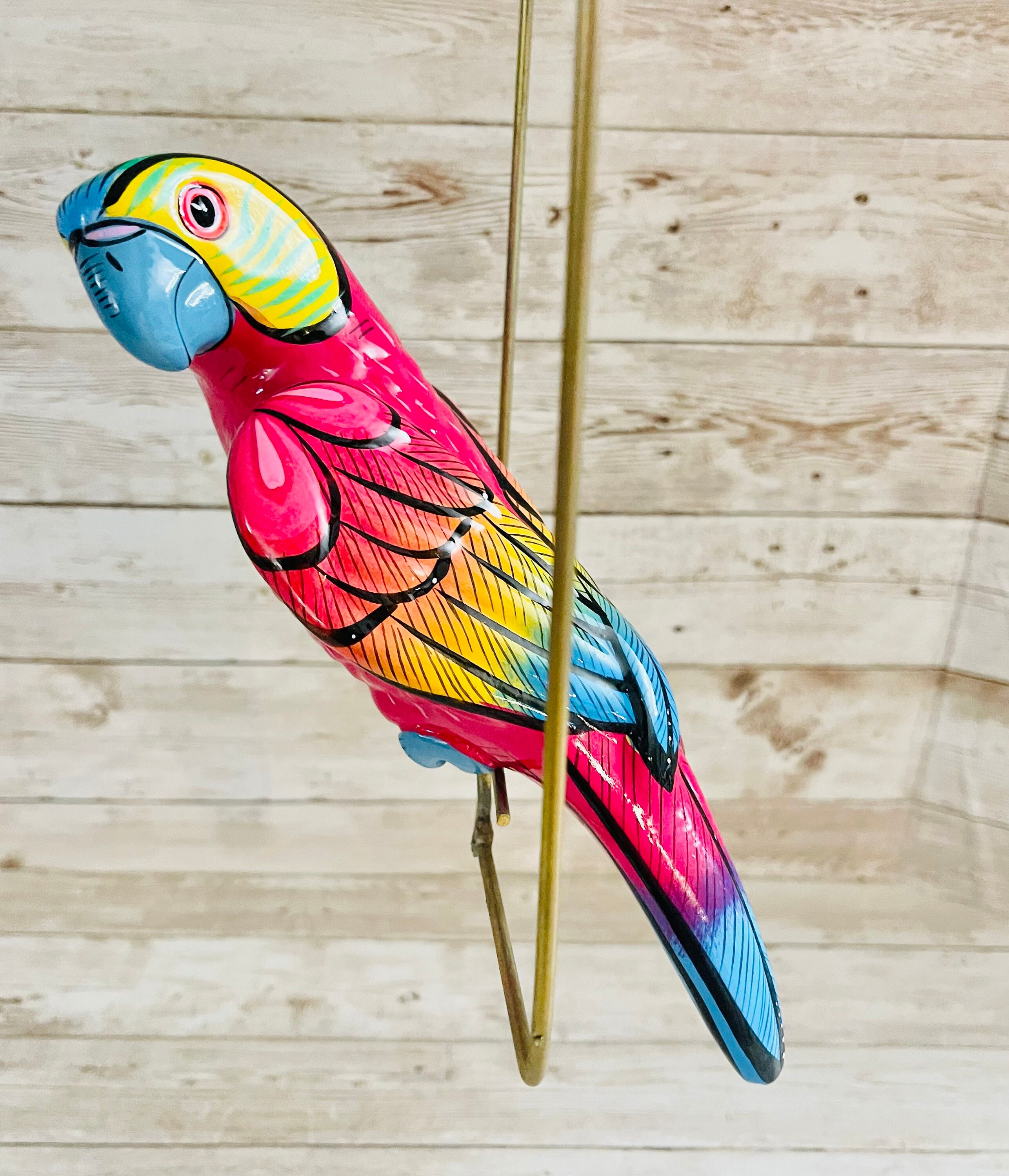 Mexican Macaw Parrots