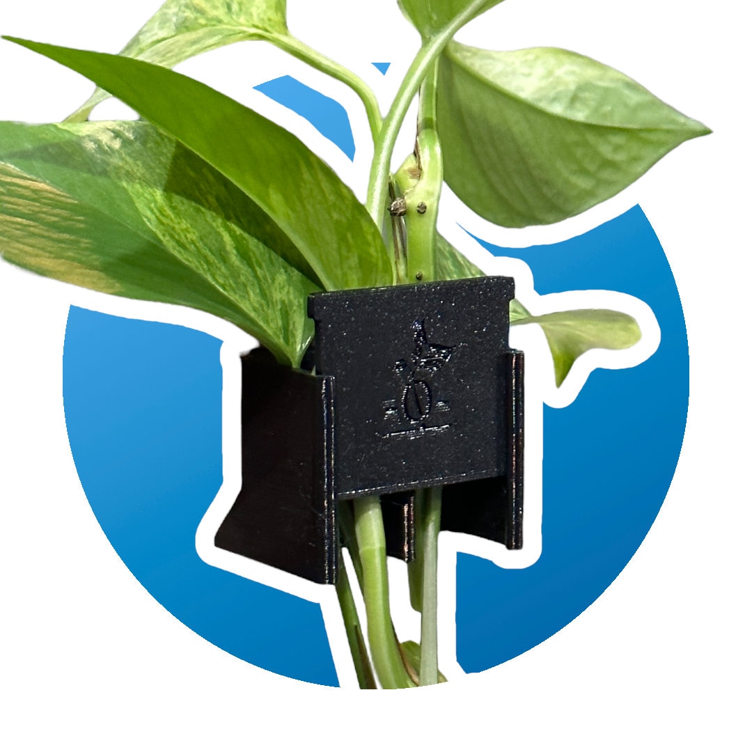 Poth-o-carry® Buddy: Tank Rim Plant Holder With Easy Propagation Plate ...