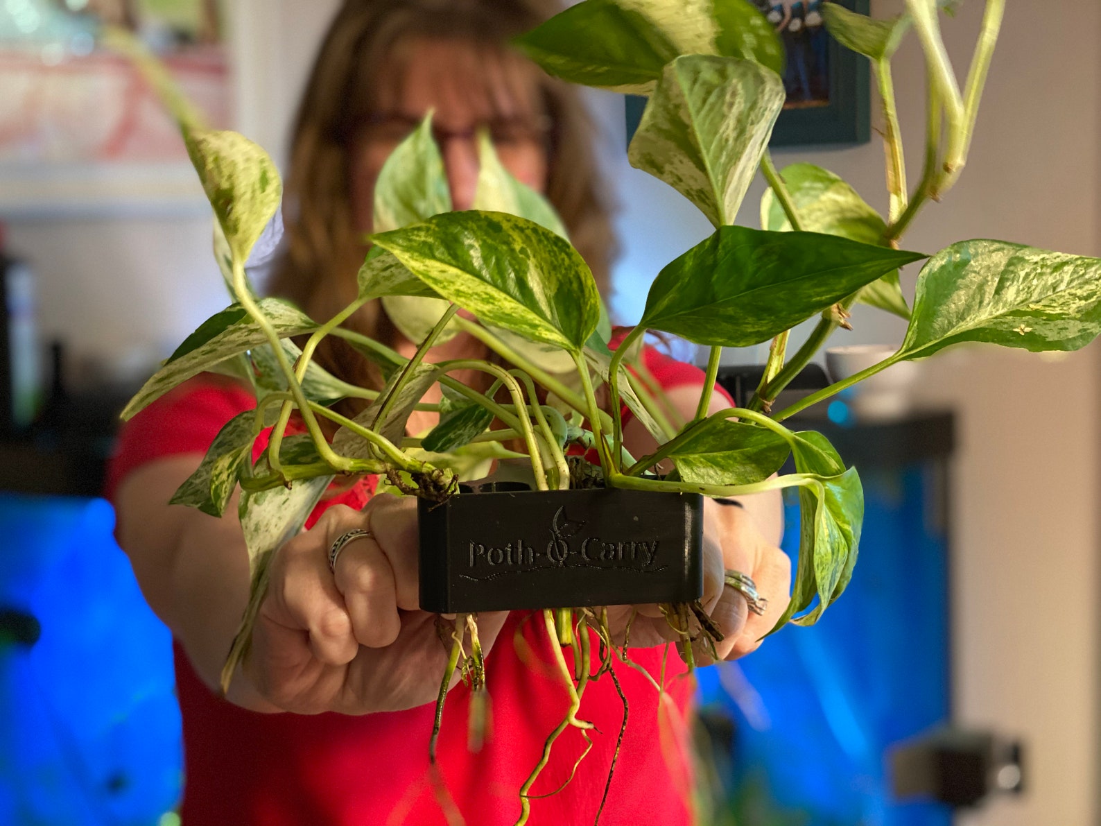 Poth-o-carry™ Original: Aquarium Rim Pothos Holder - Etsy