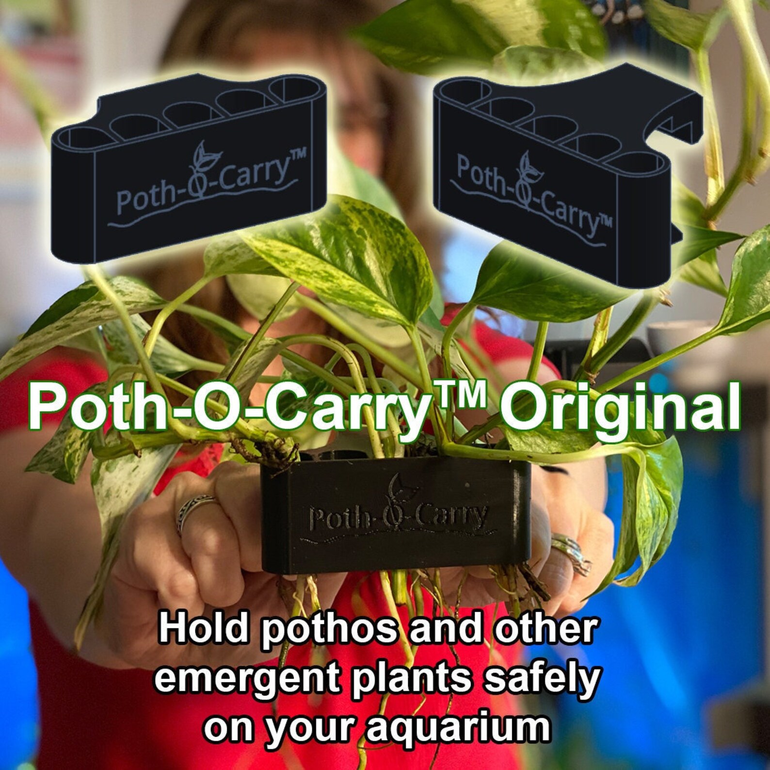 Poth-o-carry™ Original: Aquarium Rim Pothos Holder - Etsy