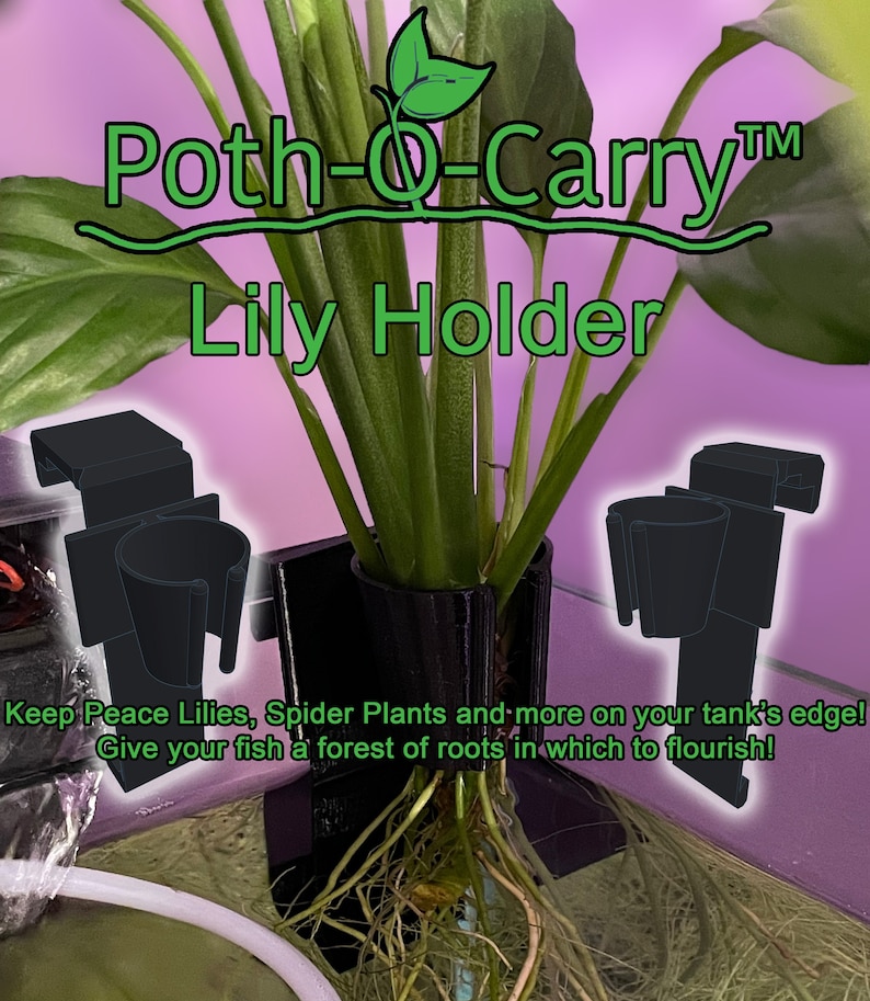 Poth-o-carry™ Lily Holder Keep Peace Lilies Spider Plants - Etsy