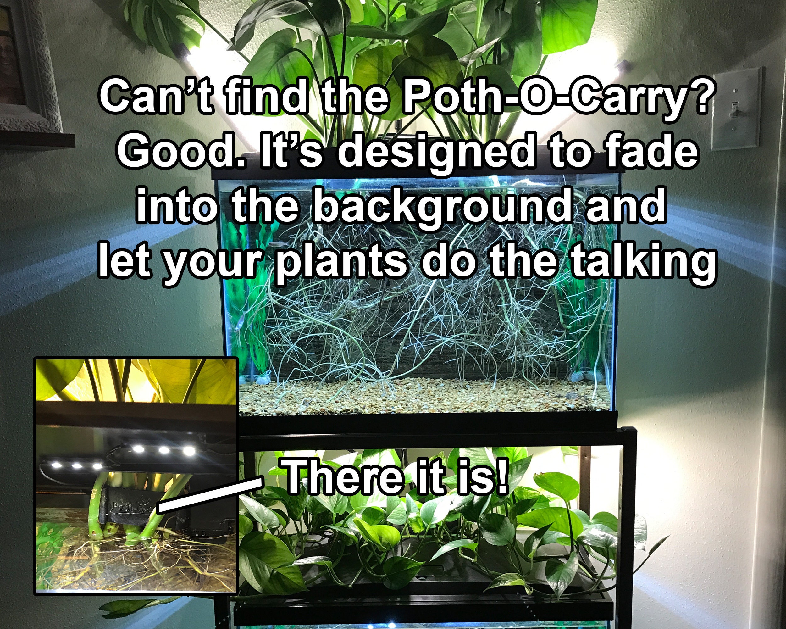 Poth-O-Carry® Plus Aquarium Pothos Holder — The Poth-O-Carry® Store