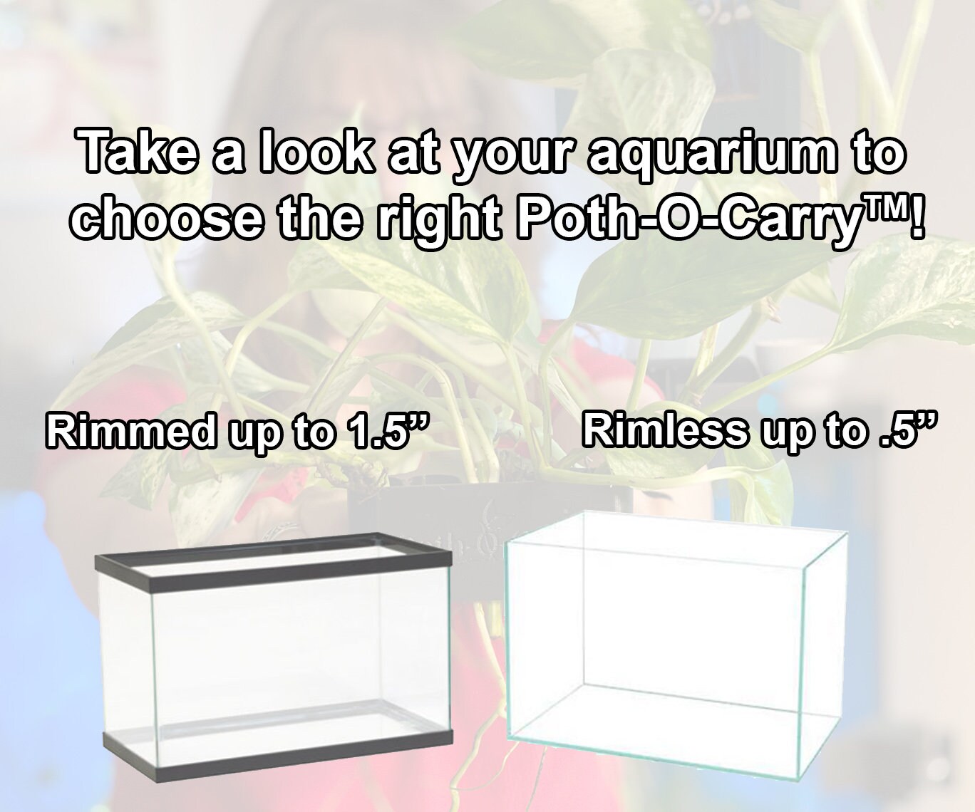 Poth-O-Carry® Plus Aquarium Pothos Holder — The Poth-O-Carry® Store