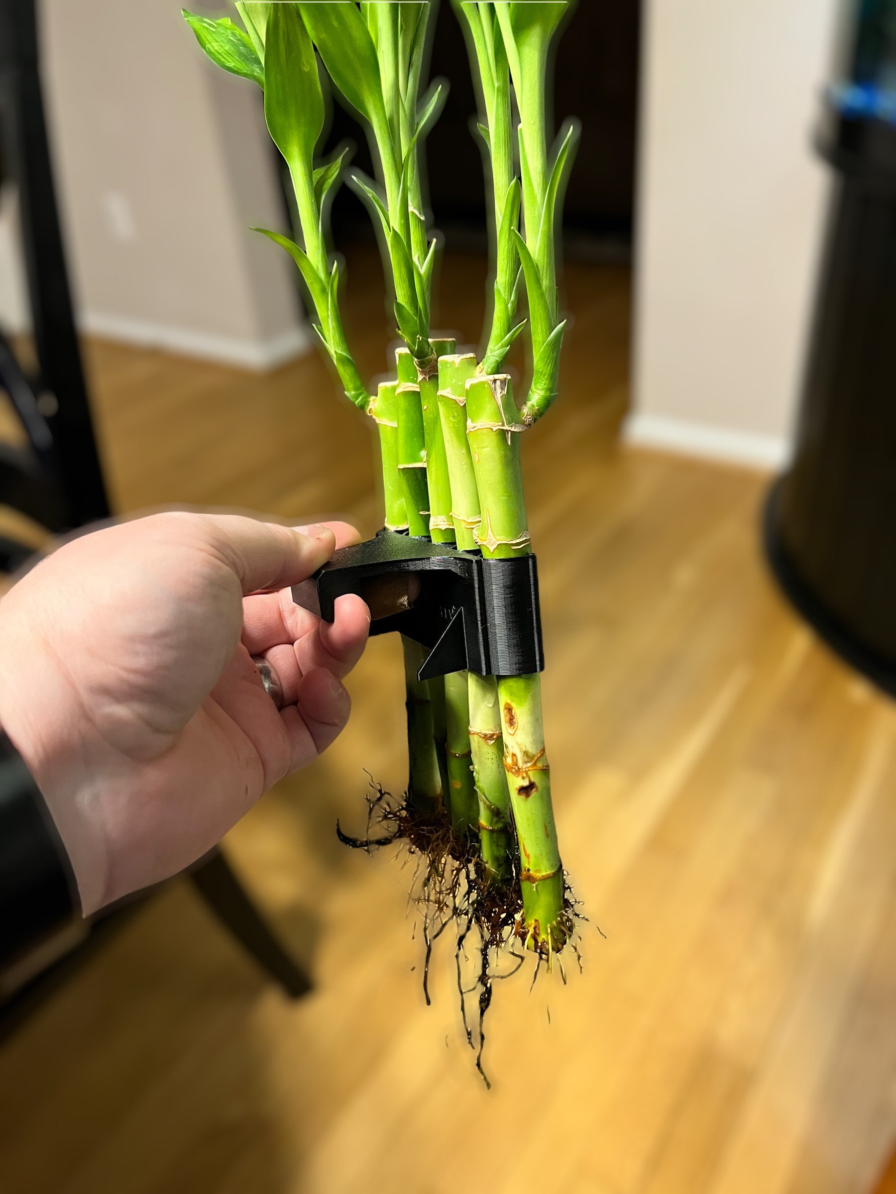 Poth-O-Carry™ Grove: Bamboo wall for the rim of your aquarium — The ...