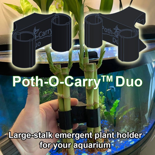 Poth-o-carry™ Original: Aquarium Rim Pothos Holder - Etsy
