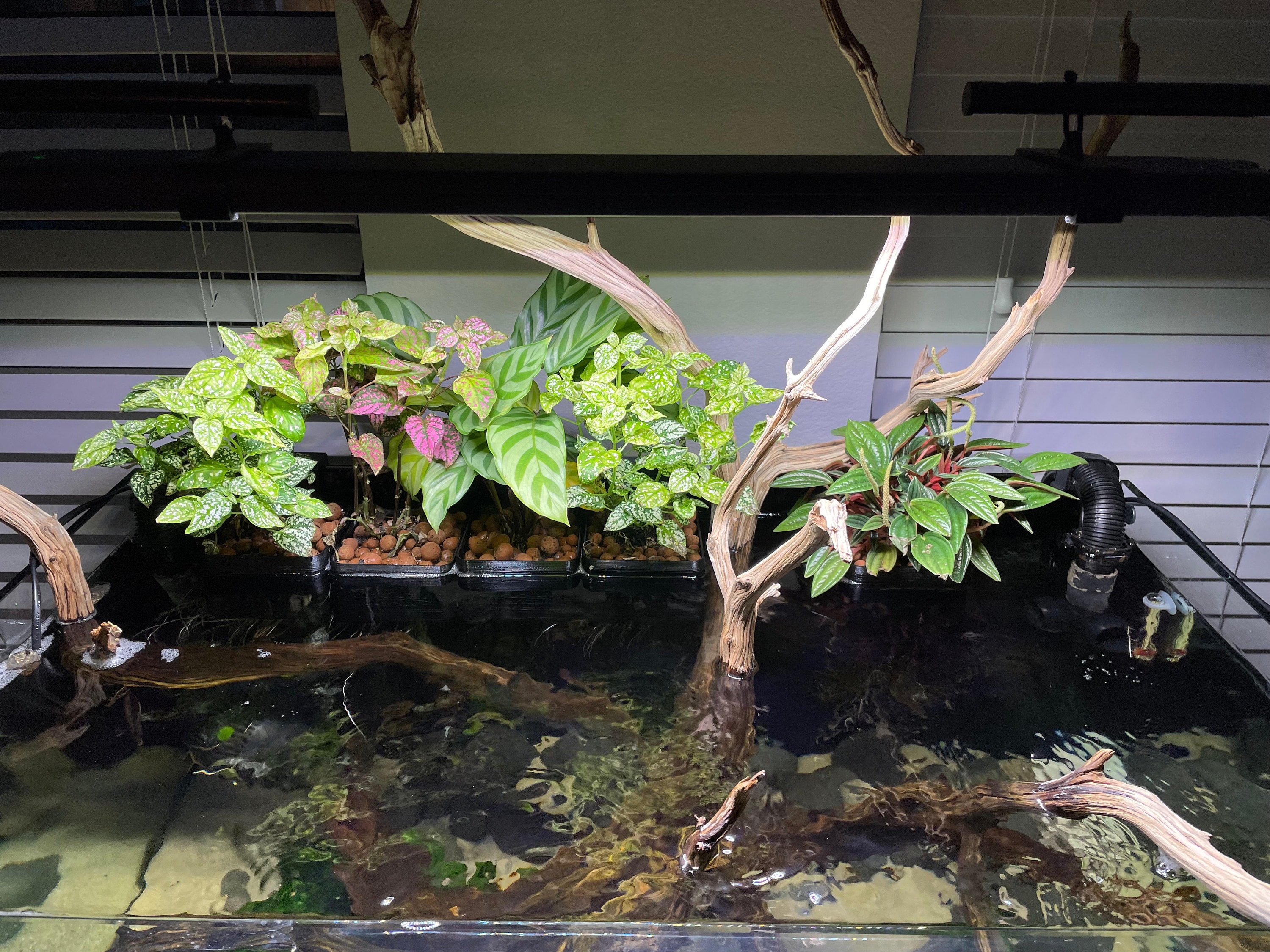 The Poth-O-Carry® Store