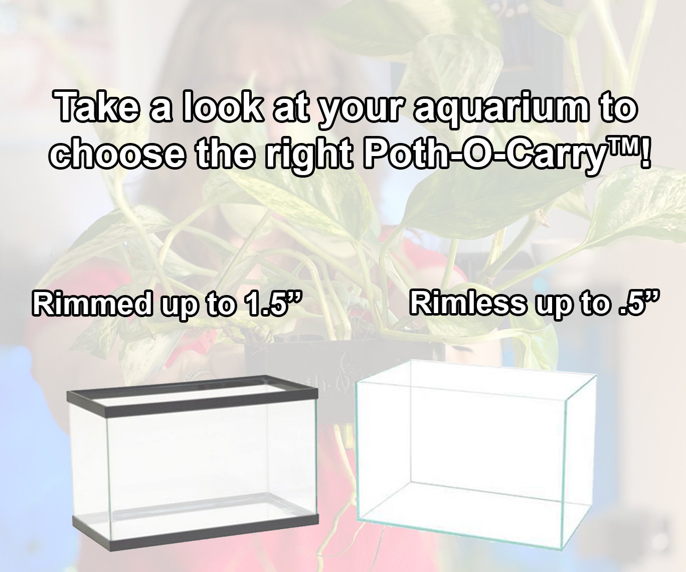 Poth-O-Carry® Lily Holder — The Poth-O-Carry® Store