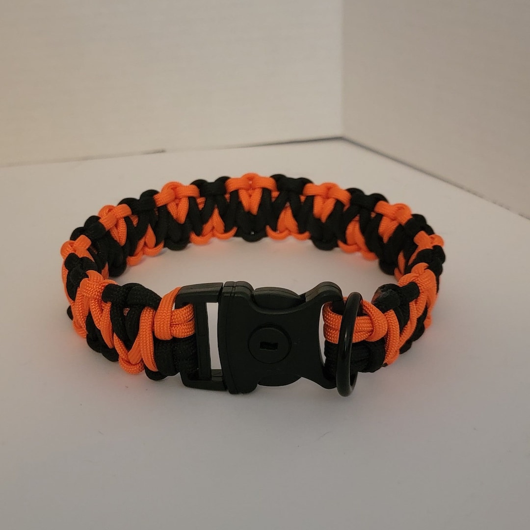 Dog Collar: Solomon's Mountain - Etsy