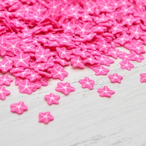 10g Pink Starfish Fimo Slices, Resin Art, Slime, Resin Craft Supplies ...