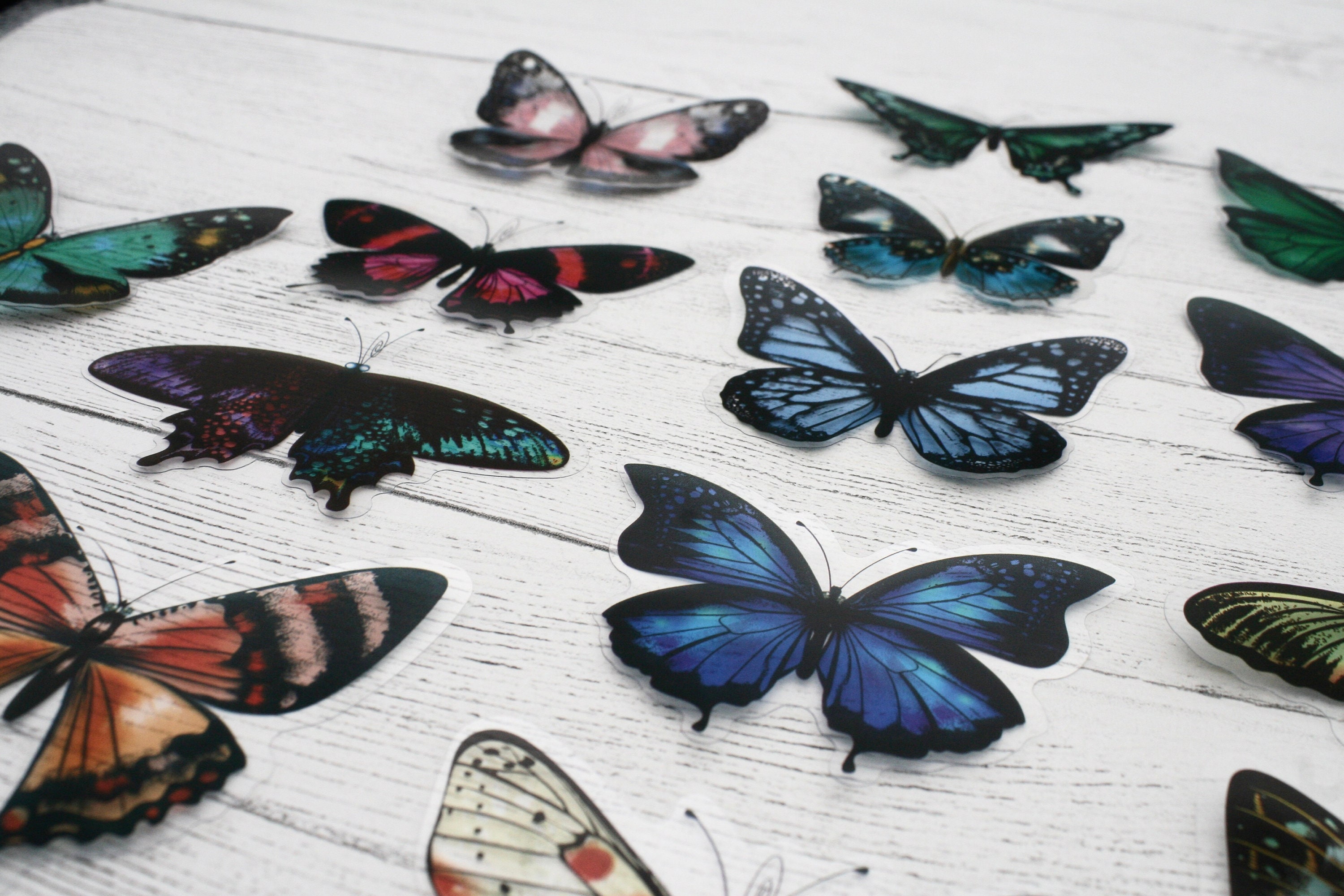 14 Butterfly Decals Butterflies Butterfly Scrapbooking | Etsy