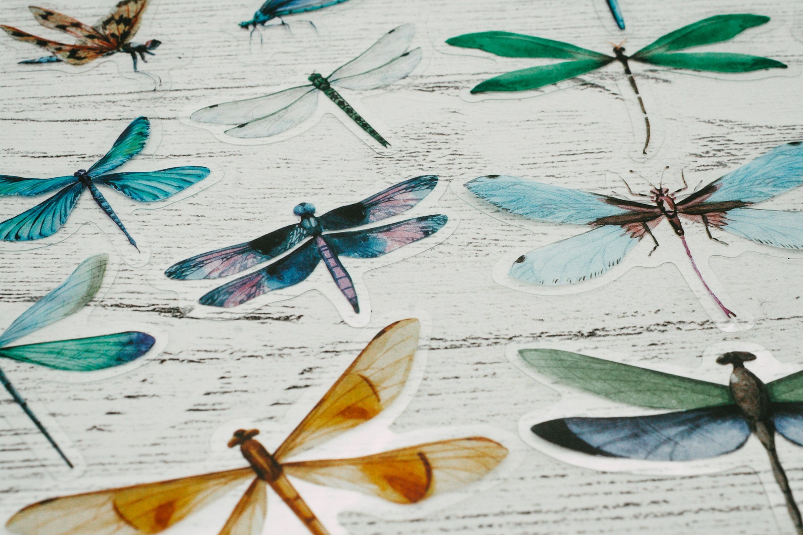 19 Dragonfly Decals Dragonflies Scrapbooking Resin Decals - Etsy