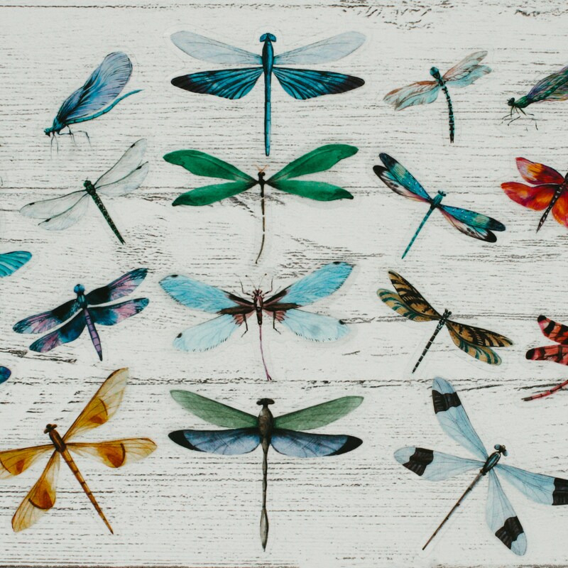 Dragonfly Resin Mold - Etsy