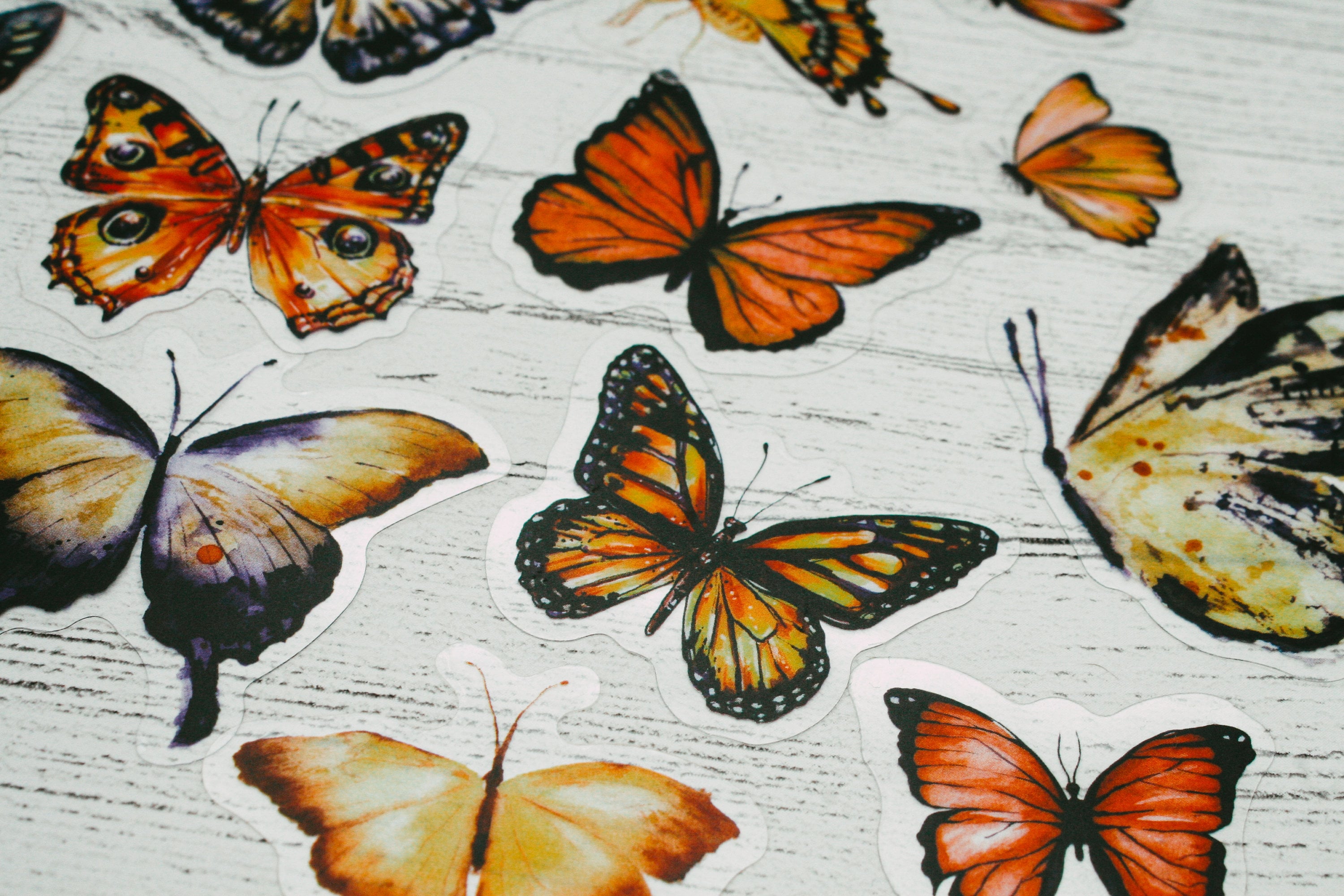 20 Butterfly Decals, Butterflies, Butterfly, Scrapbooking, Resin Decals ...