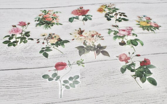 Rose Flowers Decals Craft Supplies Rose bush Decal Scrapbooking Art and ...