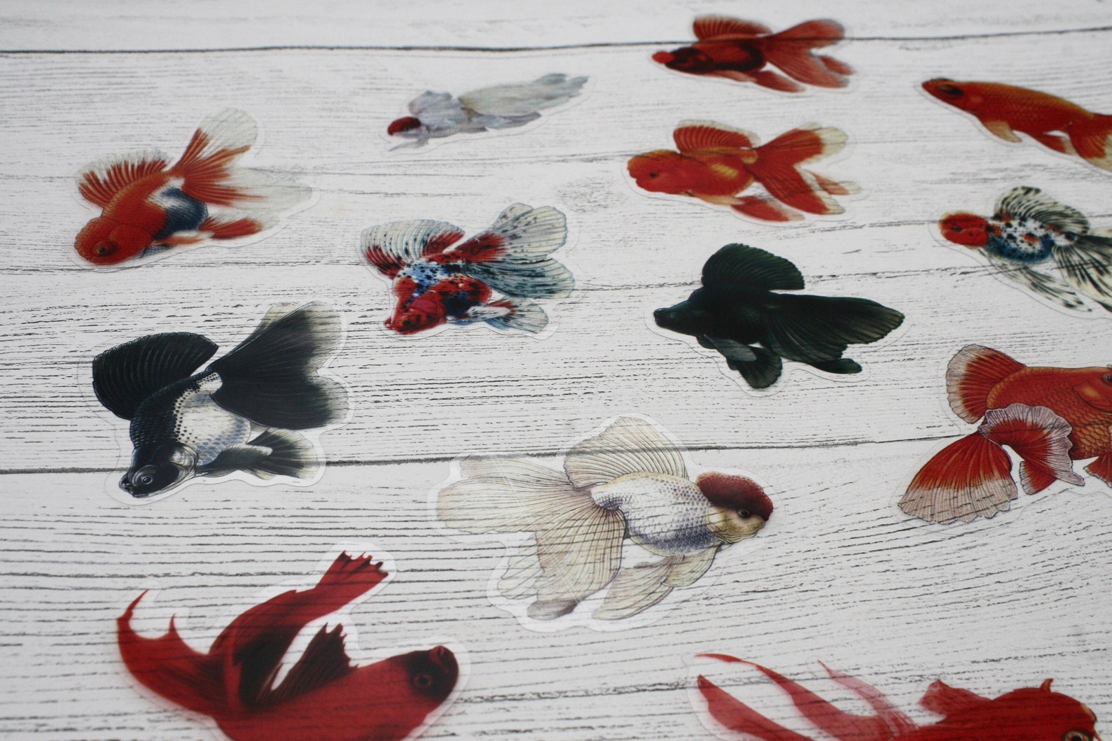 15 Goldfish Decal Red White Black Goldfish Scrapbooking | Etsy