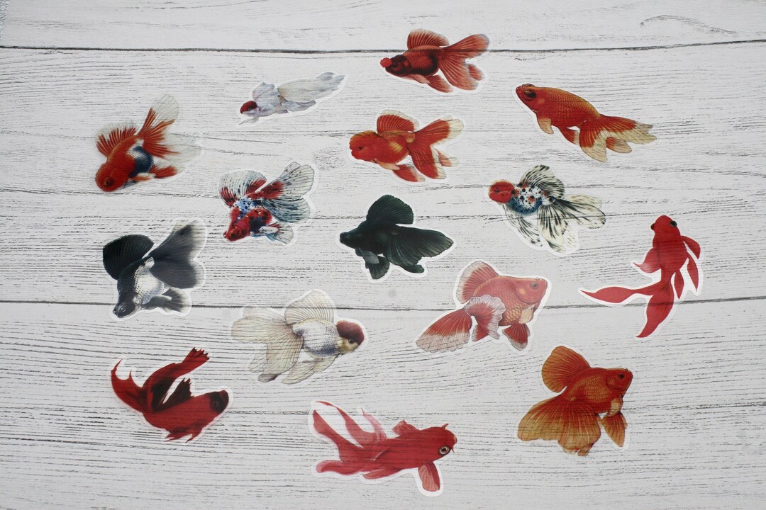 15 Goldfish Decal, Red, White, Black Goldfish, Scrapbooking, Resin ...