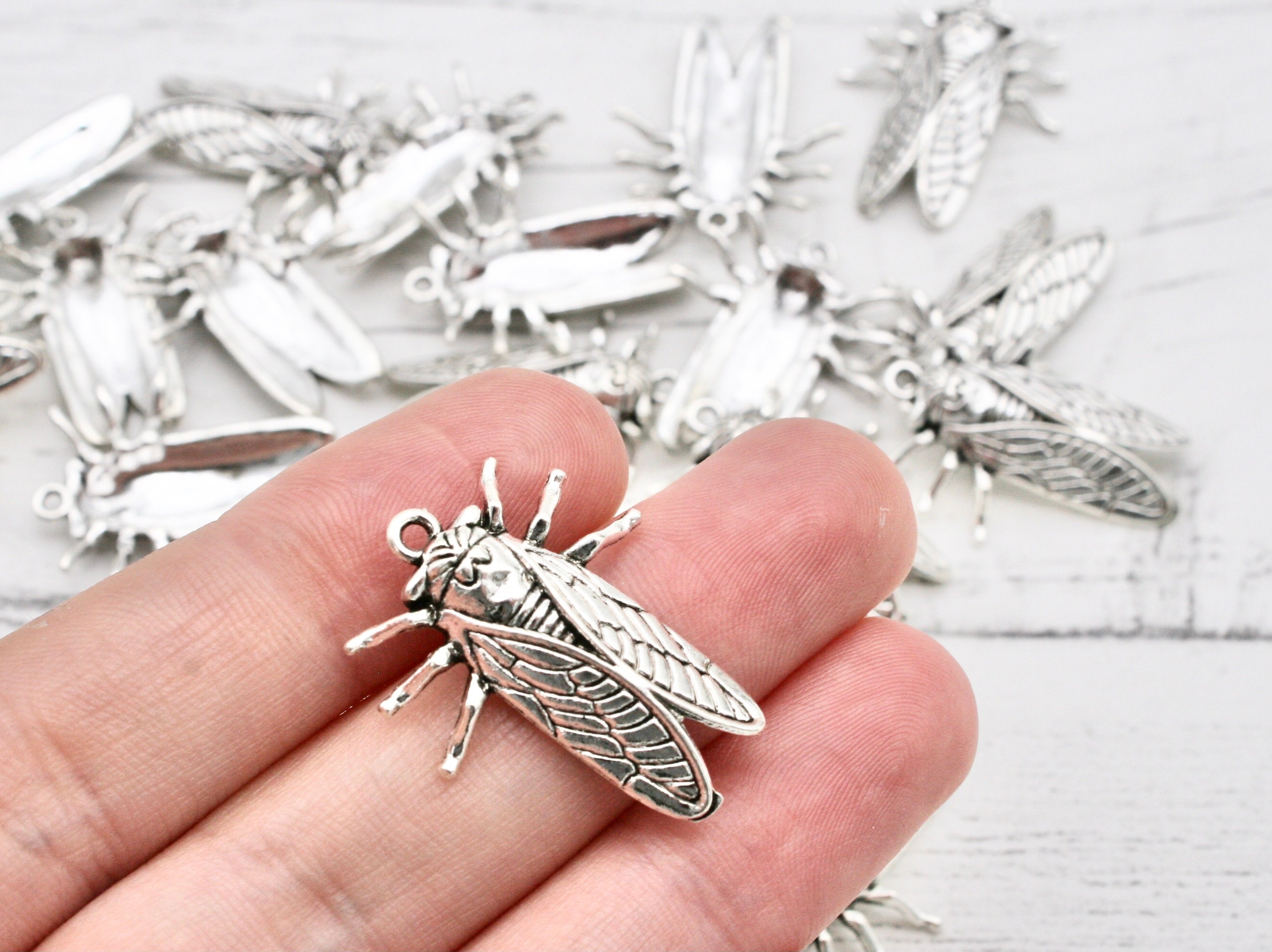 5 Cicada Metal Charms Cicada Bug Bug Craft Bug Charms | Etsy
