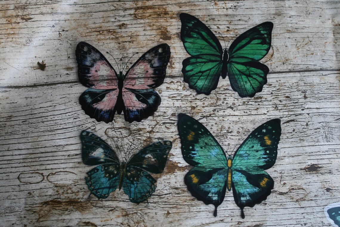14 Butterfly Decals Butterflies Butterfly Scrapbooking | Etsy