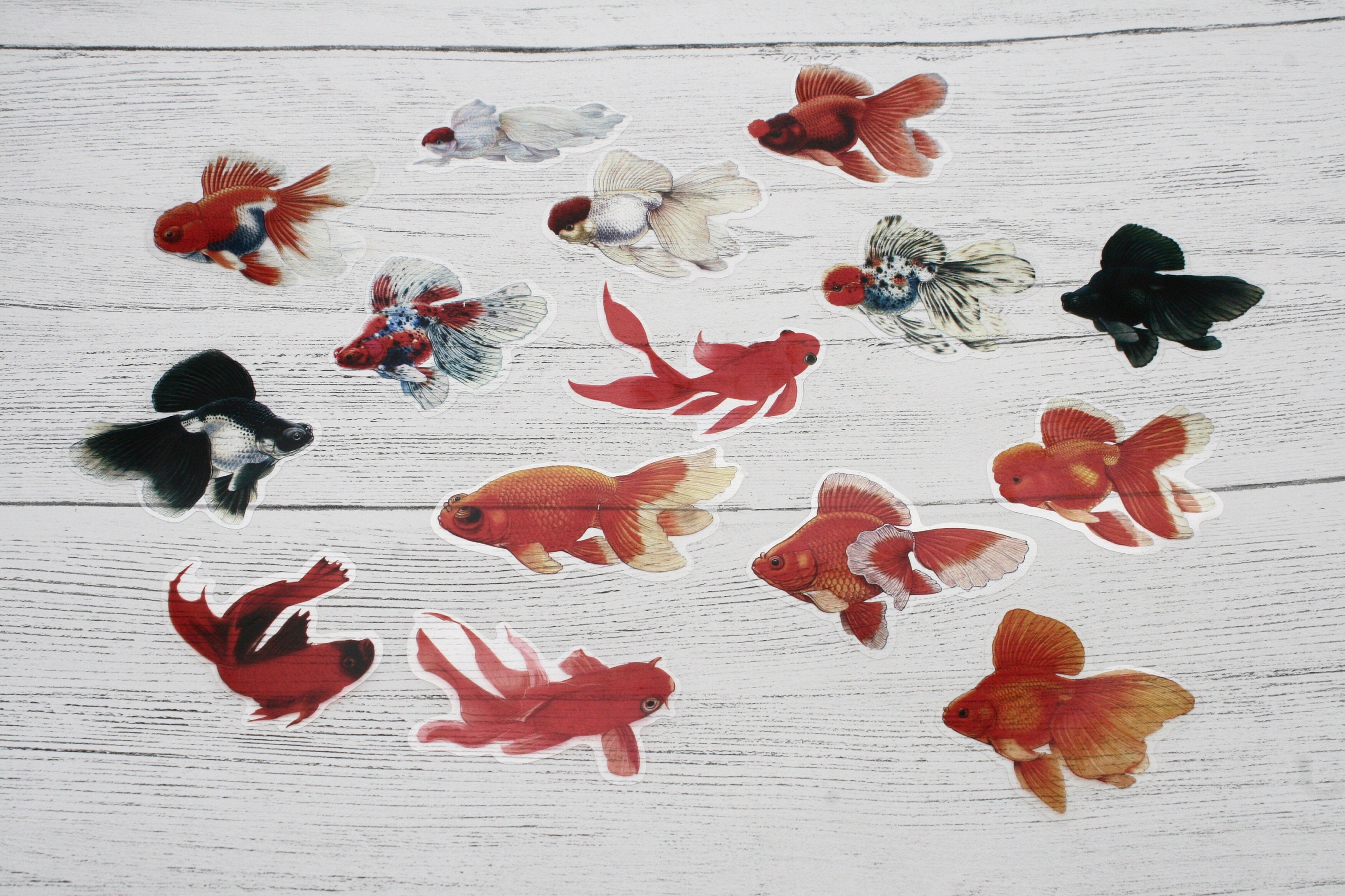15 Goldfish Decal Red White Black Goldfish Scrapbooking - Etsy
