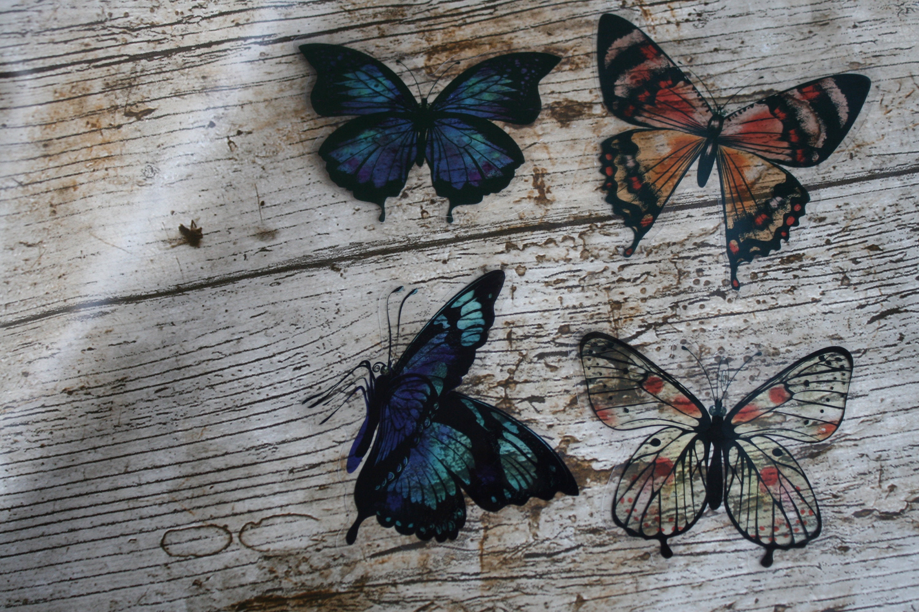 14 Butterfly Decals Butterflies Butterfly Scrapbooking | Etsy